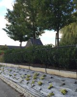 Tuinafsluitingen | Prijs advies & info afsluiting plaatsen